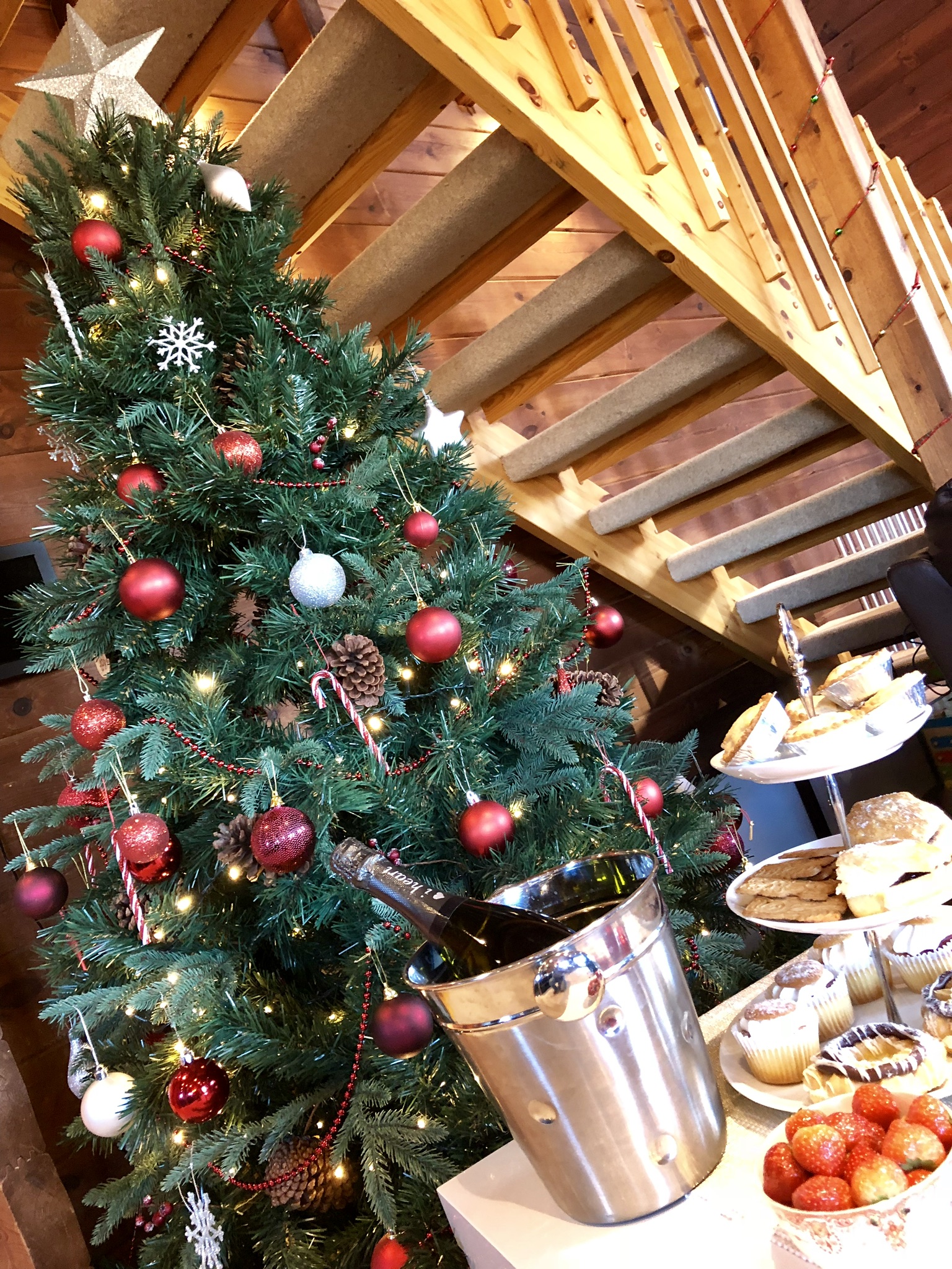 Self Catering Accommodation - Pine Tree Lodge at Pentney Lakes